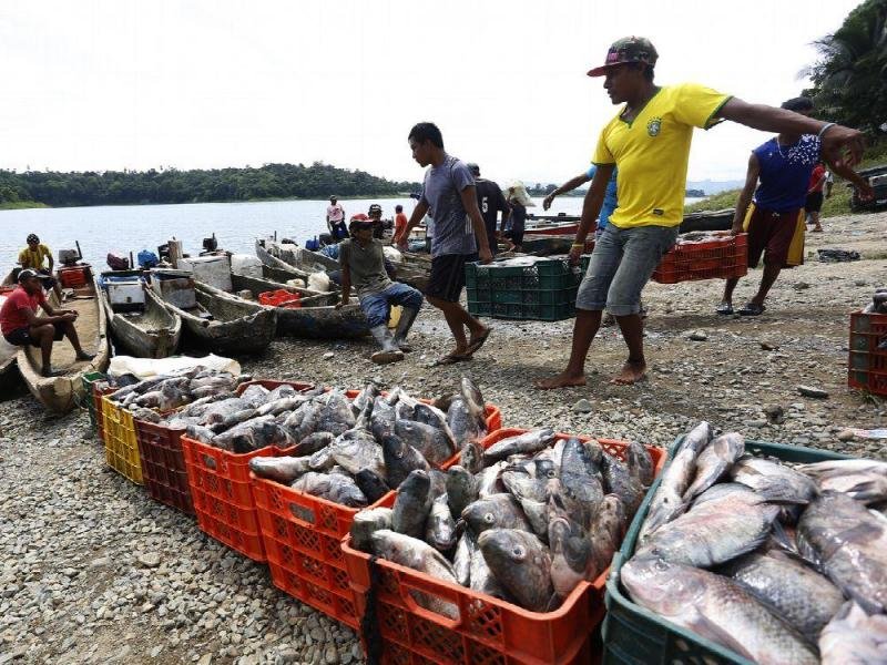 Panamá se adhiere al acuerdo mundial para prevenir la pesca Ilegal